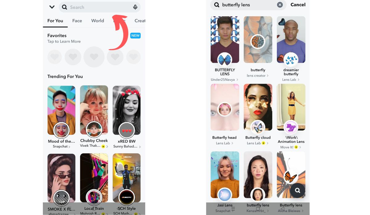 How to Unlock the Butterflies Lens on Snapchat (2024)